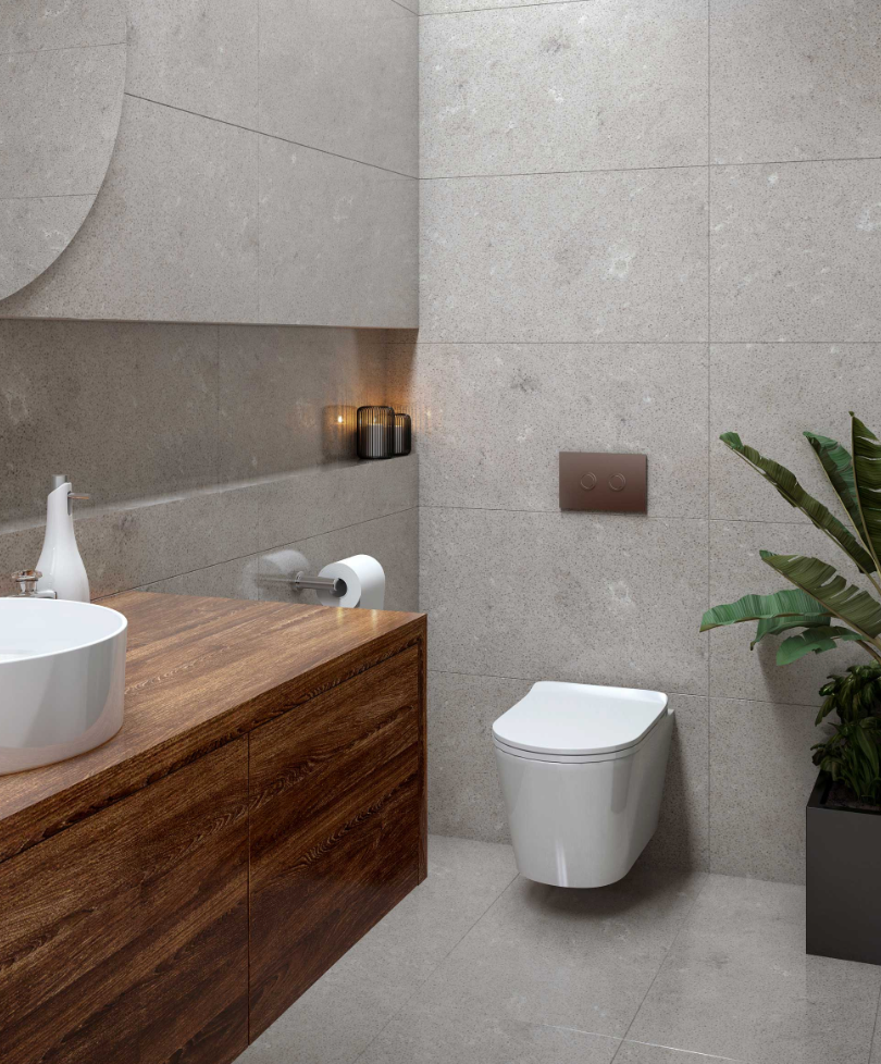 Seima Modia Wall Hung Toilet Pan & Seat — goodbathco